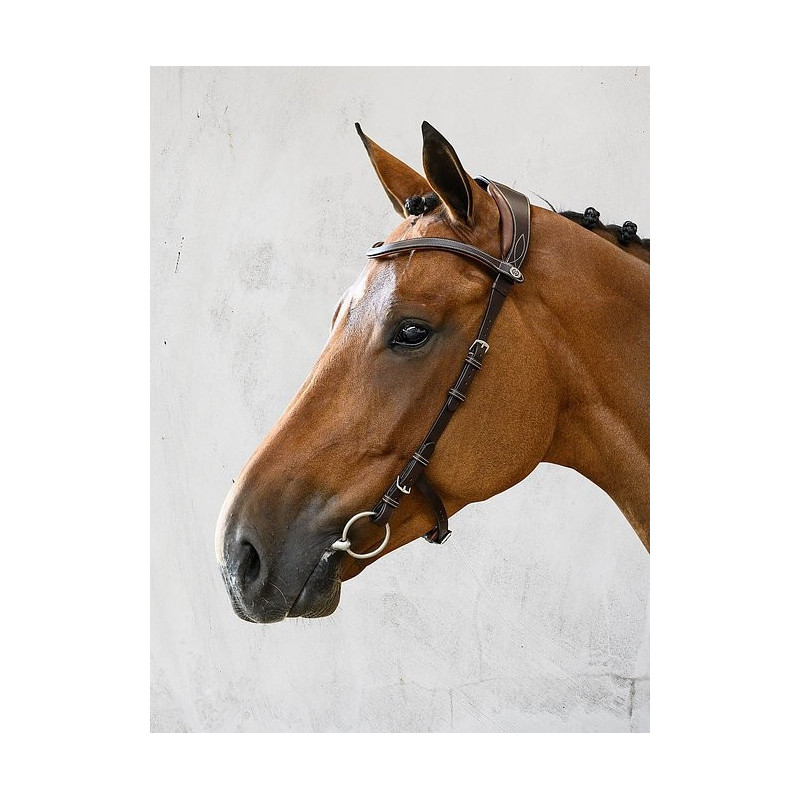 PS of Sweden Bridle Helsinki
