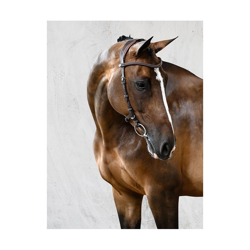 PS of Sweden Bridle Helsinki