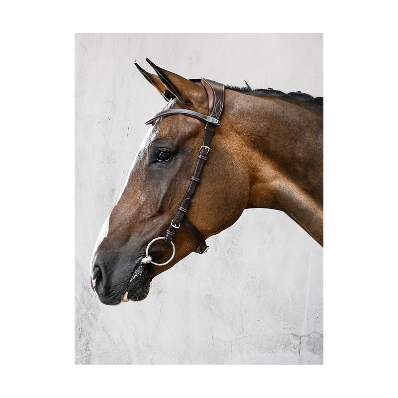 PS of Sweden Bridle Helsinki