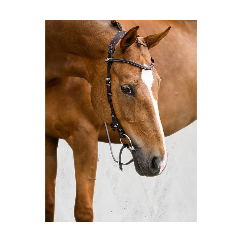 PS of Sweden Bridle Helsinki